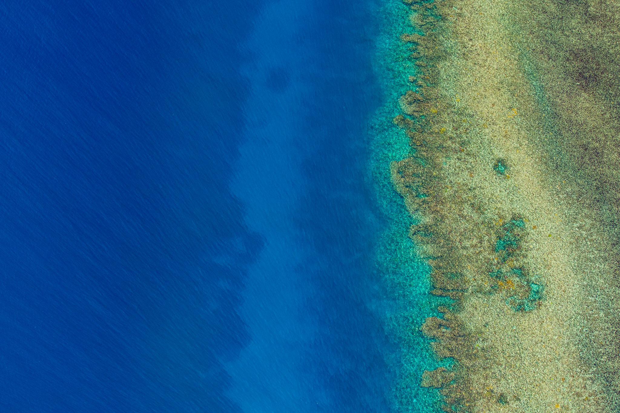 Joshua J Smith Photography / Videography