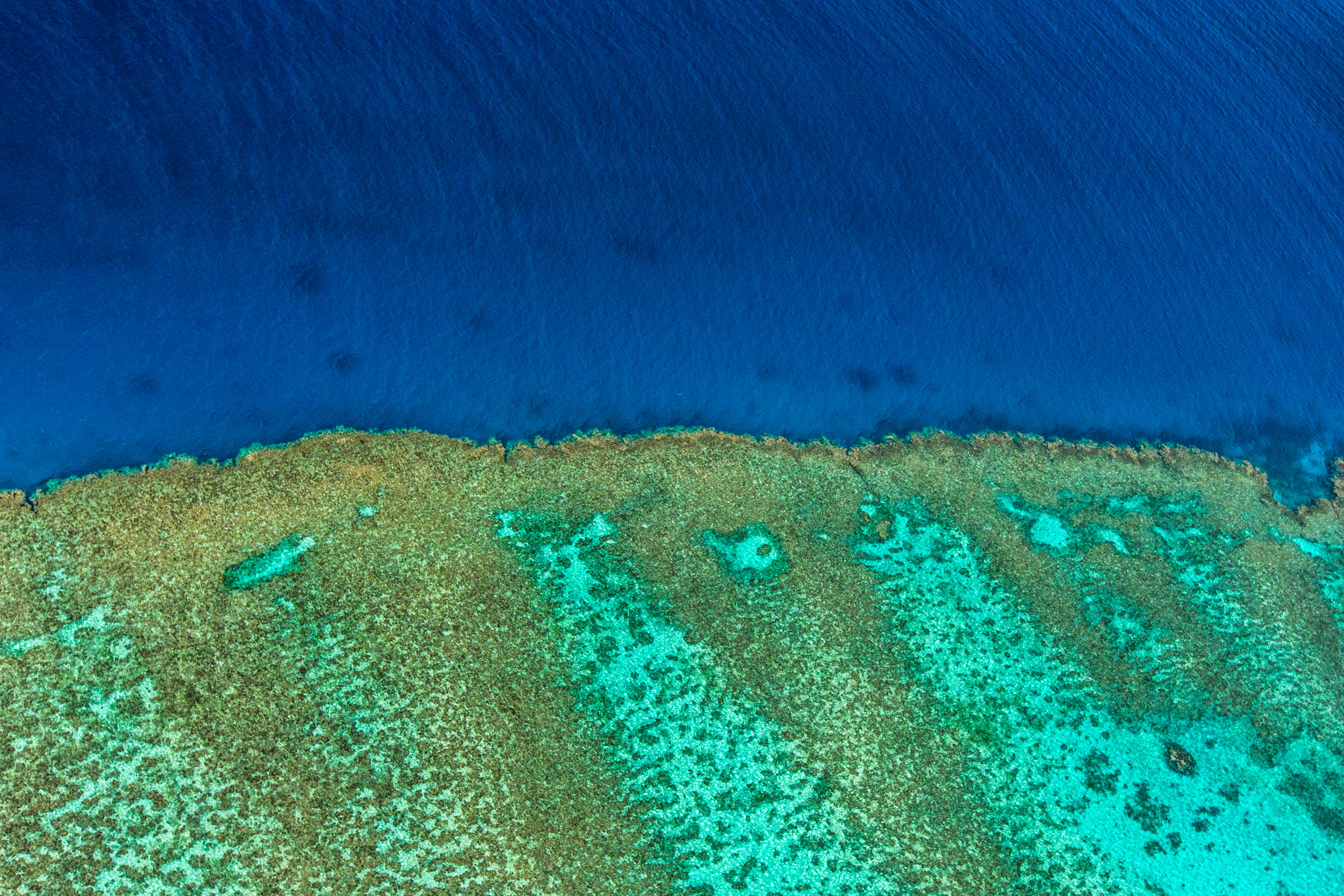 Joshua J Smith Photography / Videography