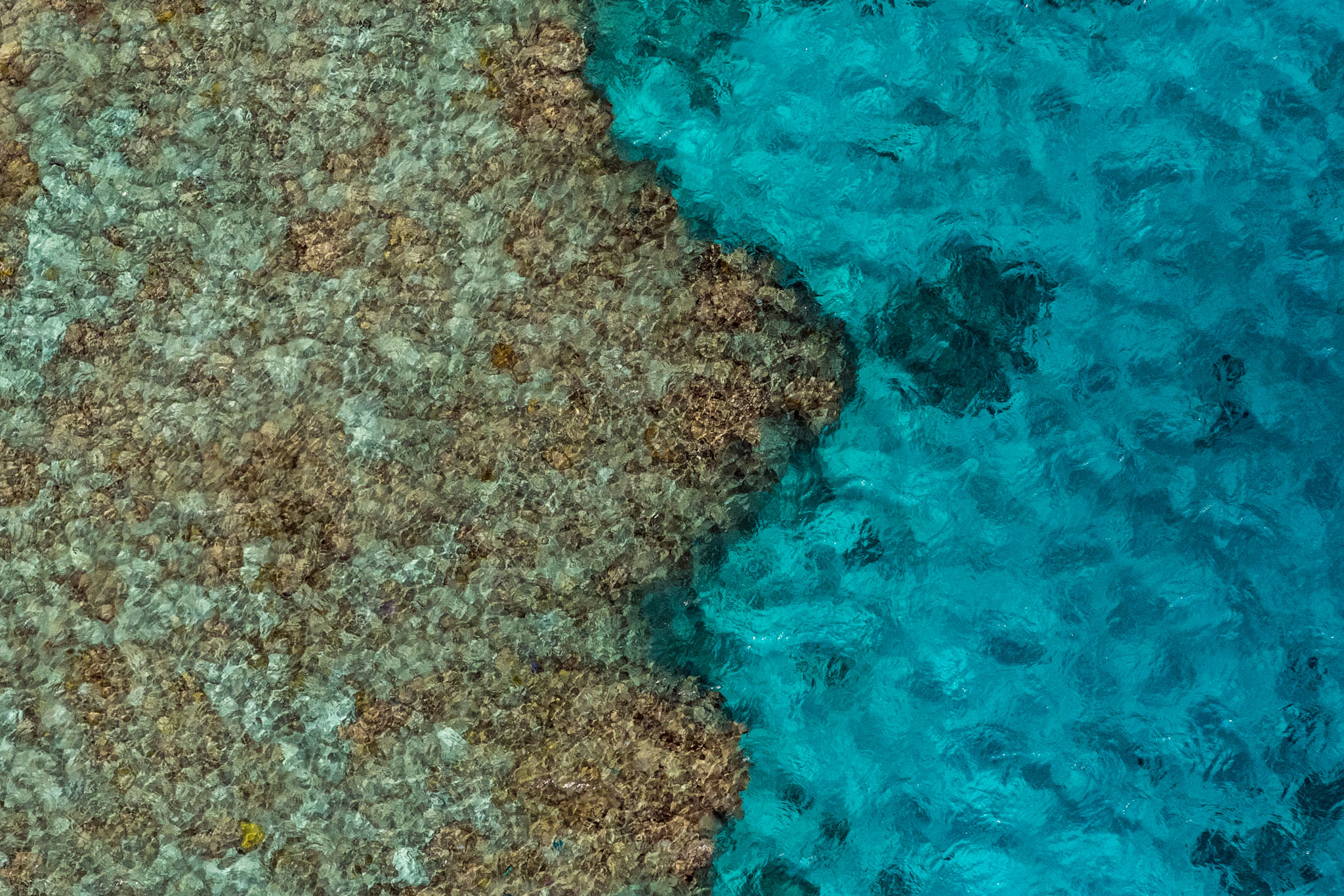 Joshua J Smith Photography / Videography